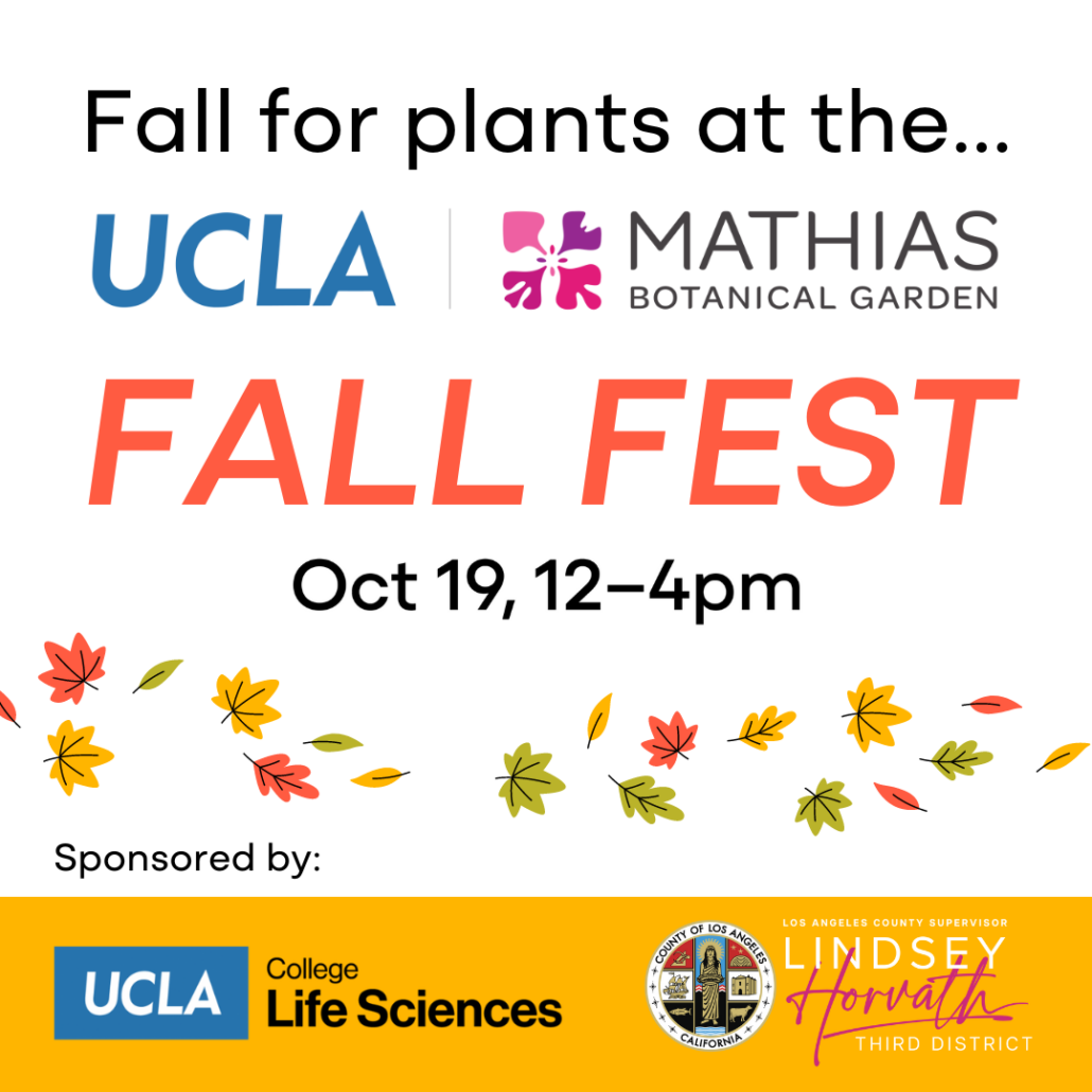 Fall Fest - Mathias Botanical Garden